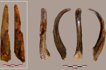 90,000-year-old wooden tools made by Neanderthals unearthed in Spain ...