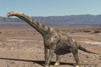 Remains of 110 mln-year-old dinosaur discovered in Argentina ...