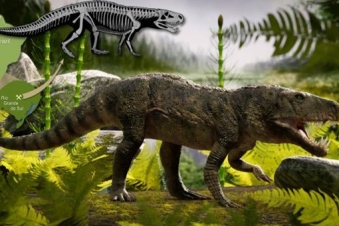 "Bonecrushing" crocodile roamed Earth 230 million years ago ...