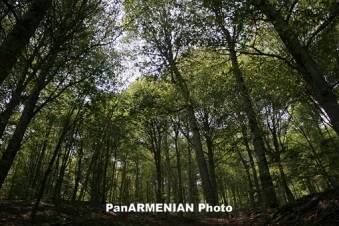 Armenia opening nature reserves for ecotourism, hiking - PanARMENIAN.Net