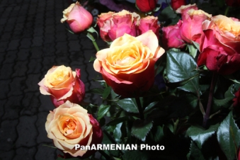 Վրաստան ծաղիկ արտահանողների ցանկը գլխավորում է ՀՀ-ն - PanARMENIAN.Net