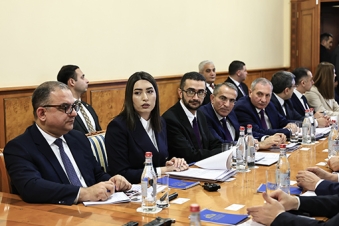 No more need for physical driver's license in Armenia - PanARMENIAN.Net
